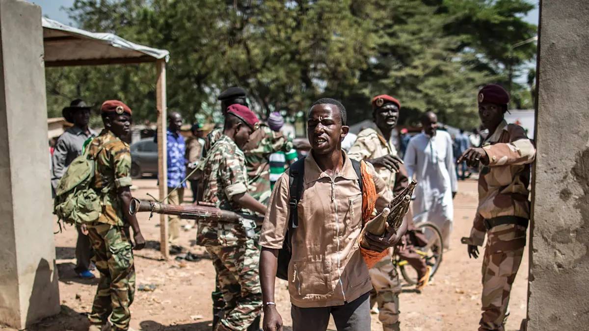 What Is the Seleka?